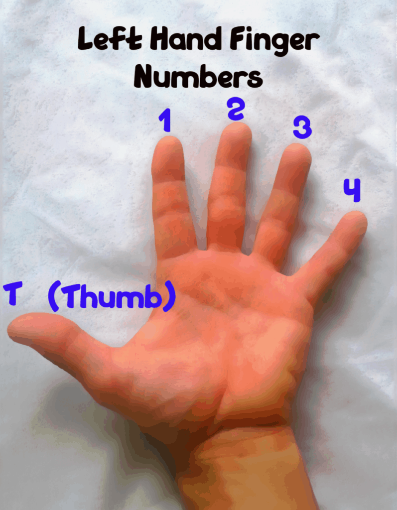 Open Chords, Bar Chords, Scales… Great Resource Page ! – Good Guitar Sense